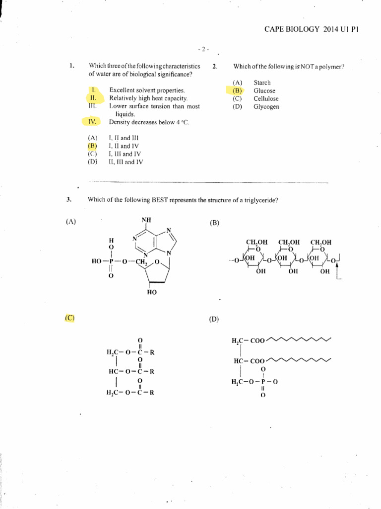 Cape Biology U1 p1 2014 | PDF