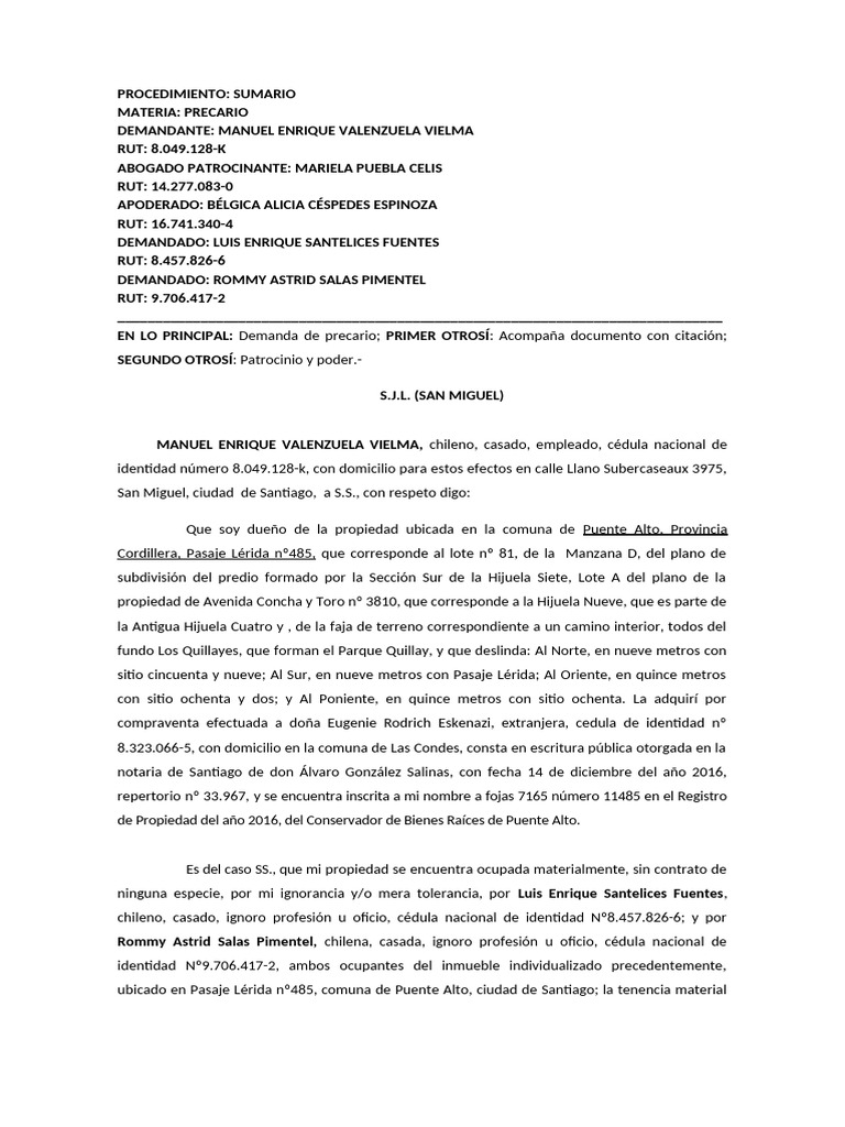 Demanda de Precario en Puente Alto | PDF | Ley común