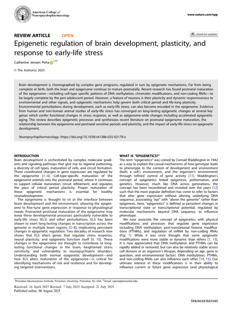 Epigenetics in Brain Development and Stress | PDF | Epigenetics | Histone