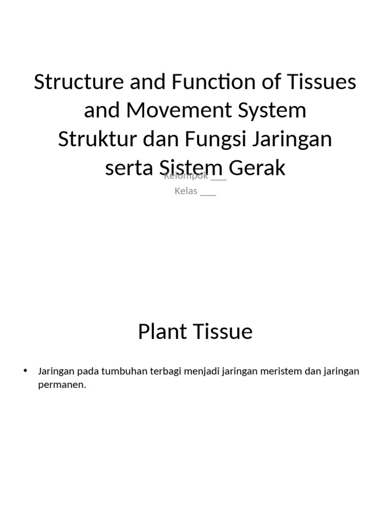 Tissues and Movement System Overview | PDF | Circulatory System ...
