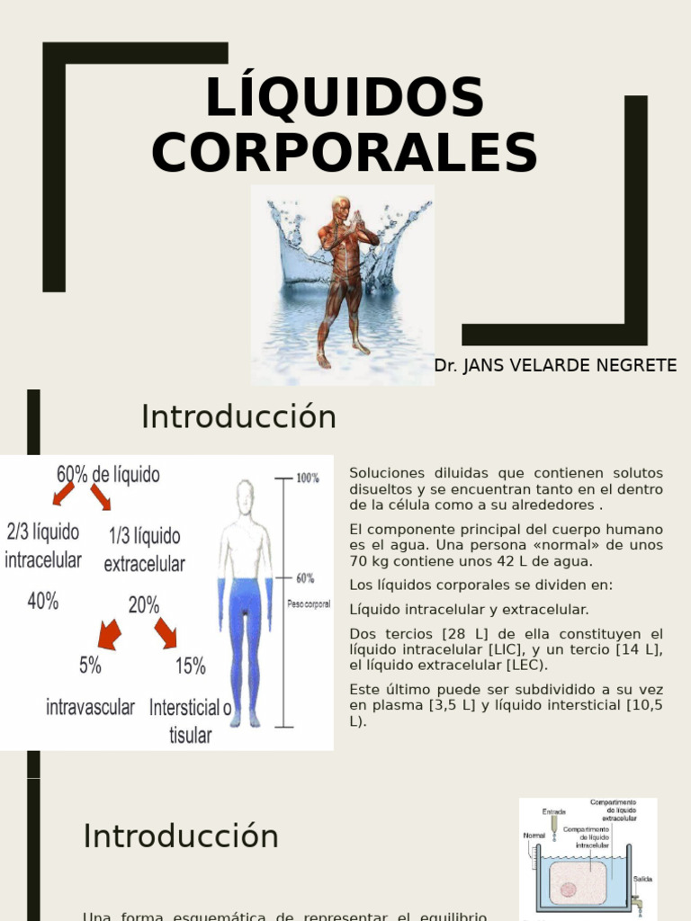 Líquidos Corporales | PDF | Anatomía | Fisiología