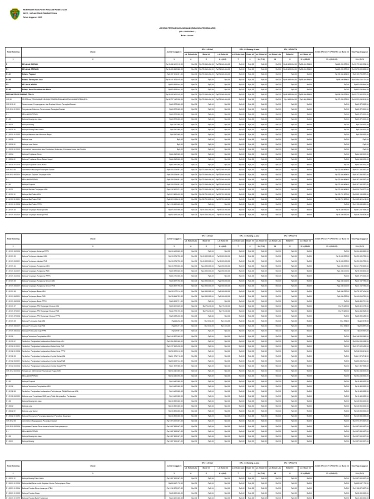 SPJ Fungsional Januari 2025 | PDF