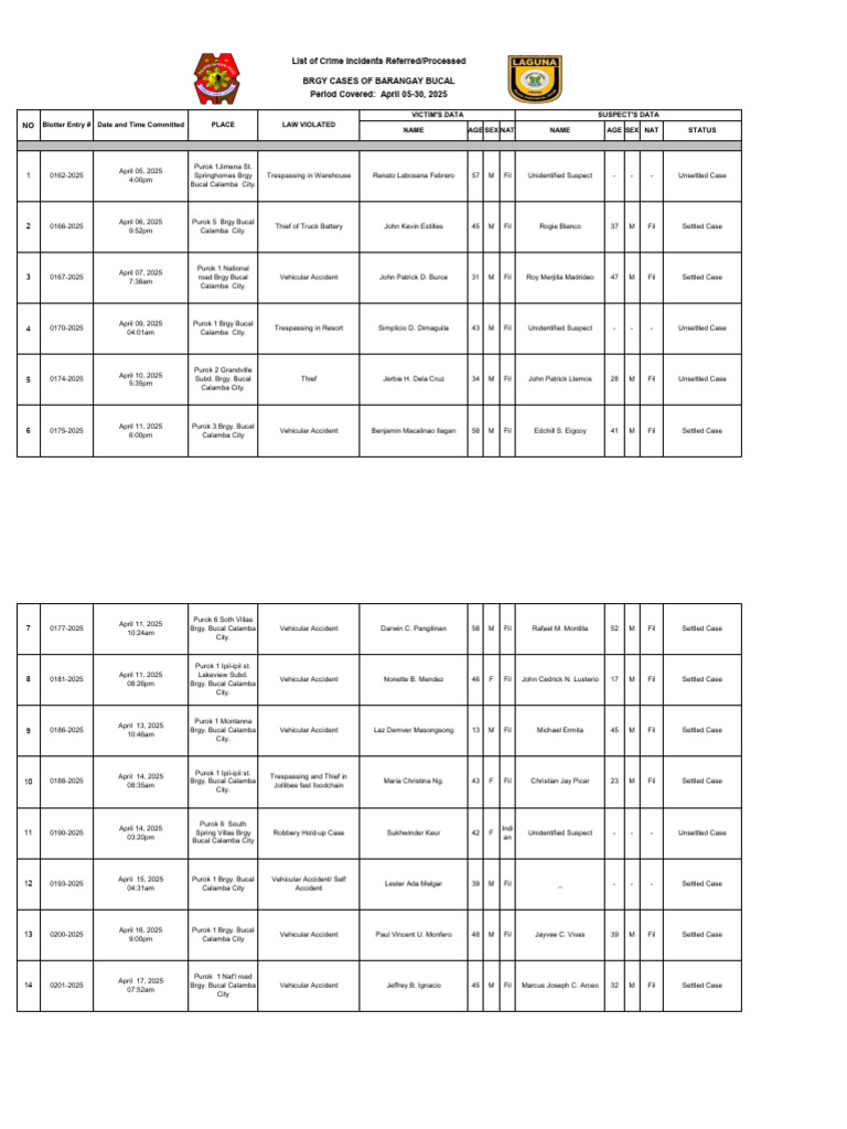 PNP Report April 2025 Bucal | PDF