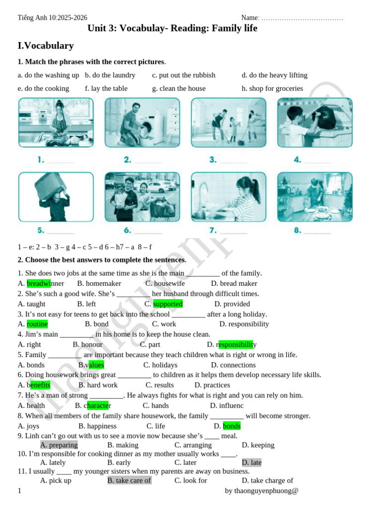 Family Life: Vocabulary & Reading Guide | PDF