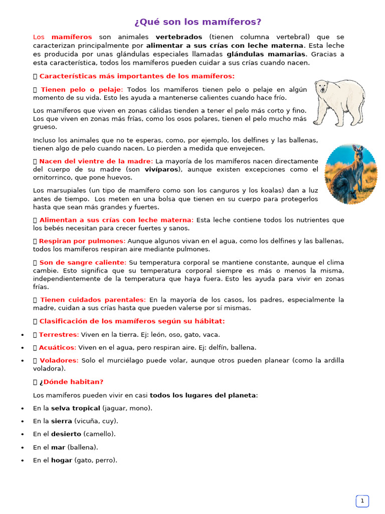 Animales Mamiferos | PDF | Mamíferos | Zoología