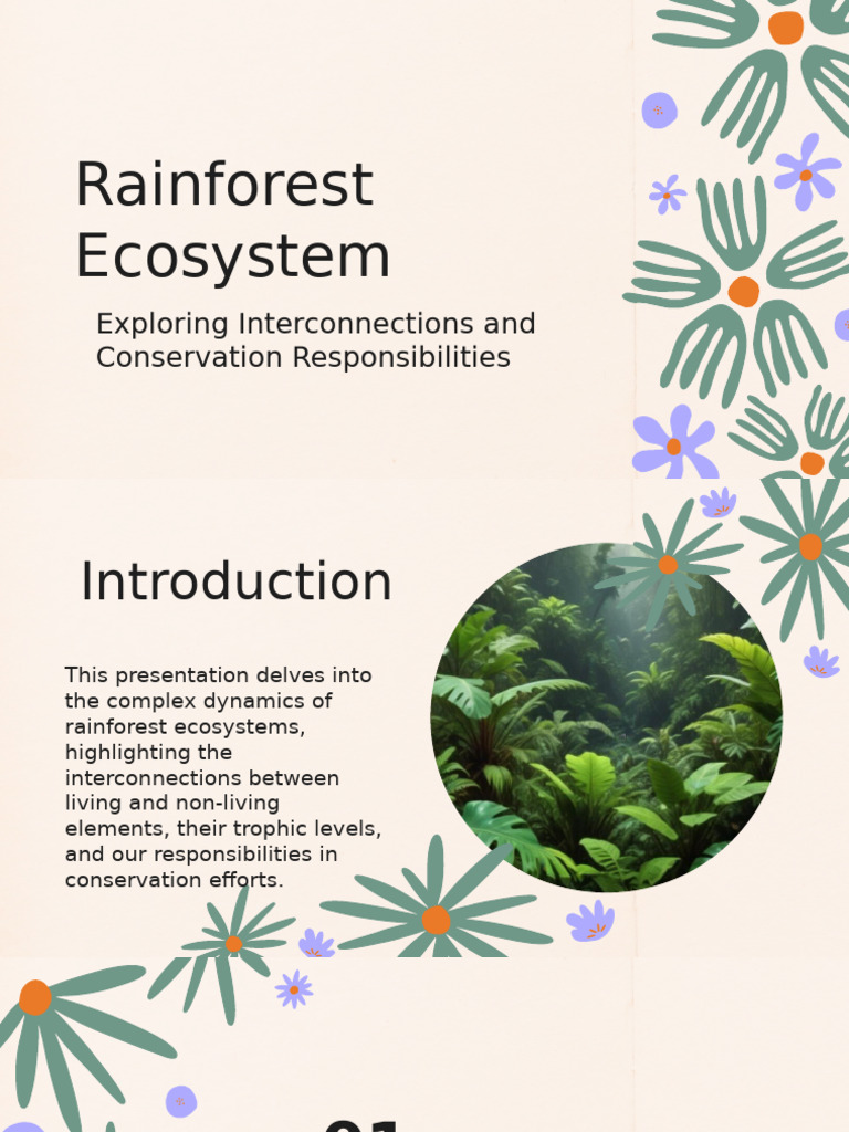 Rainforest Ecosystem Aaradhaya | PDF | Ecosystem | Rainforest