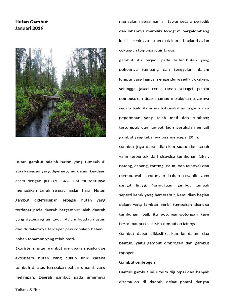 Ekosistem Hutan Gambut di Indonesia | PDF