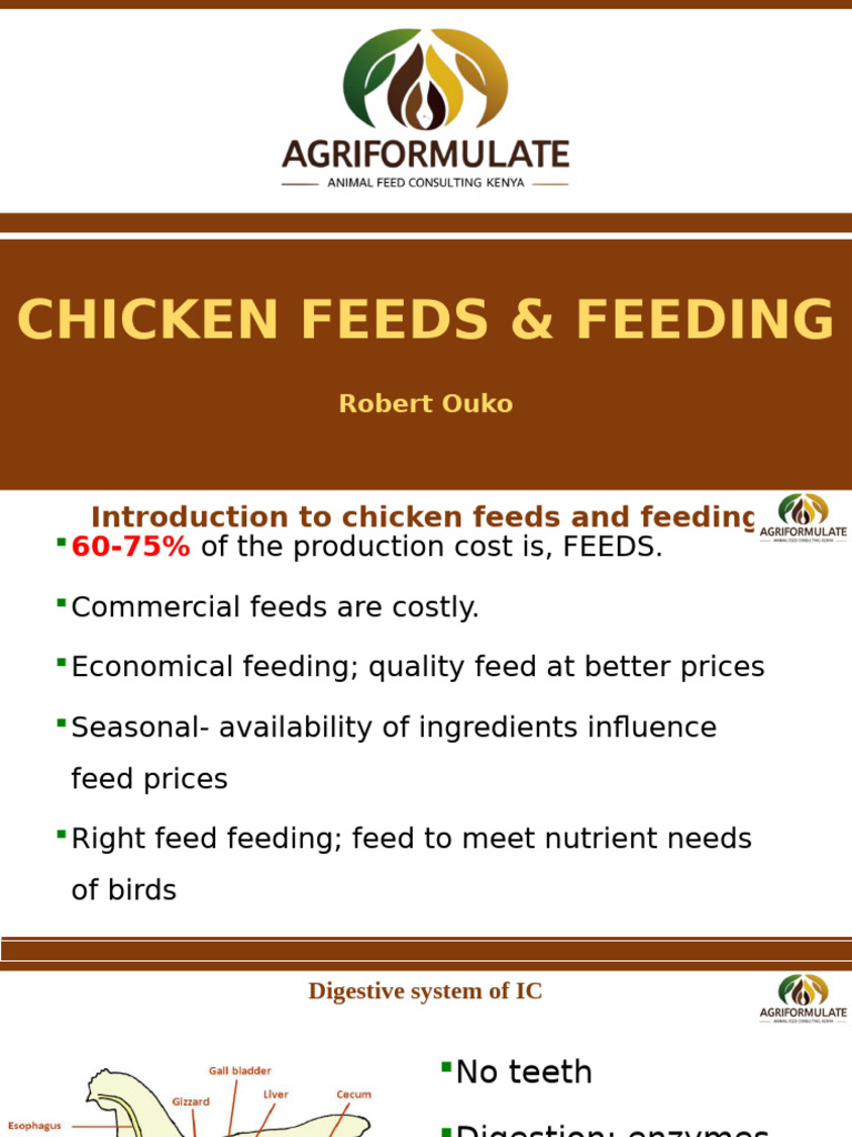Backyard Layer Chicken Feeding Guideline | PDF | Fat | Cereals