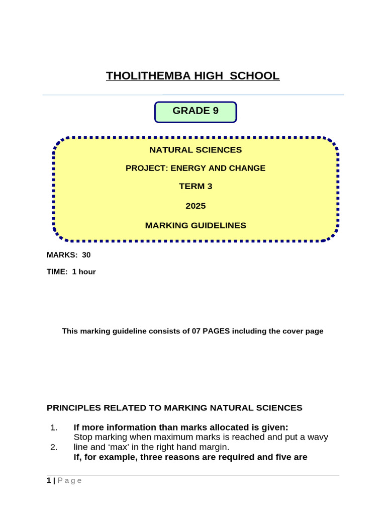 Grade 9 Natural Sciences Marking Guide | PDF | Energy Development ...