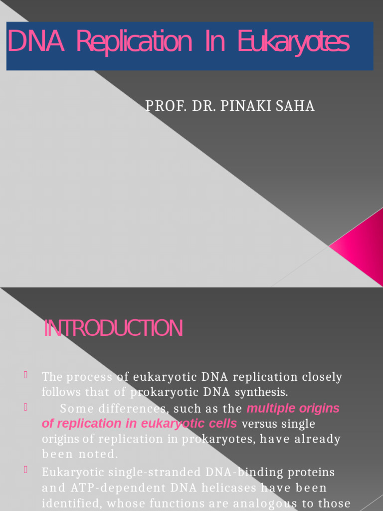 Eukaryotic DNA Replication Overview | PDF | Dna Replication | Dna