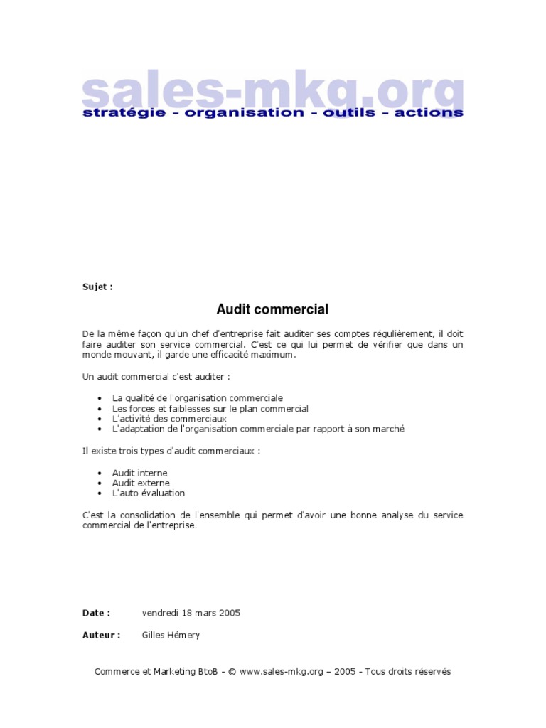 Audit Commercial | PDF | Commerce | Audit