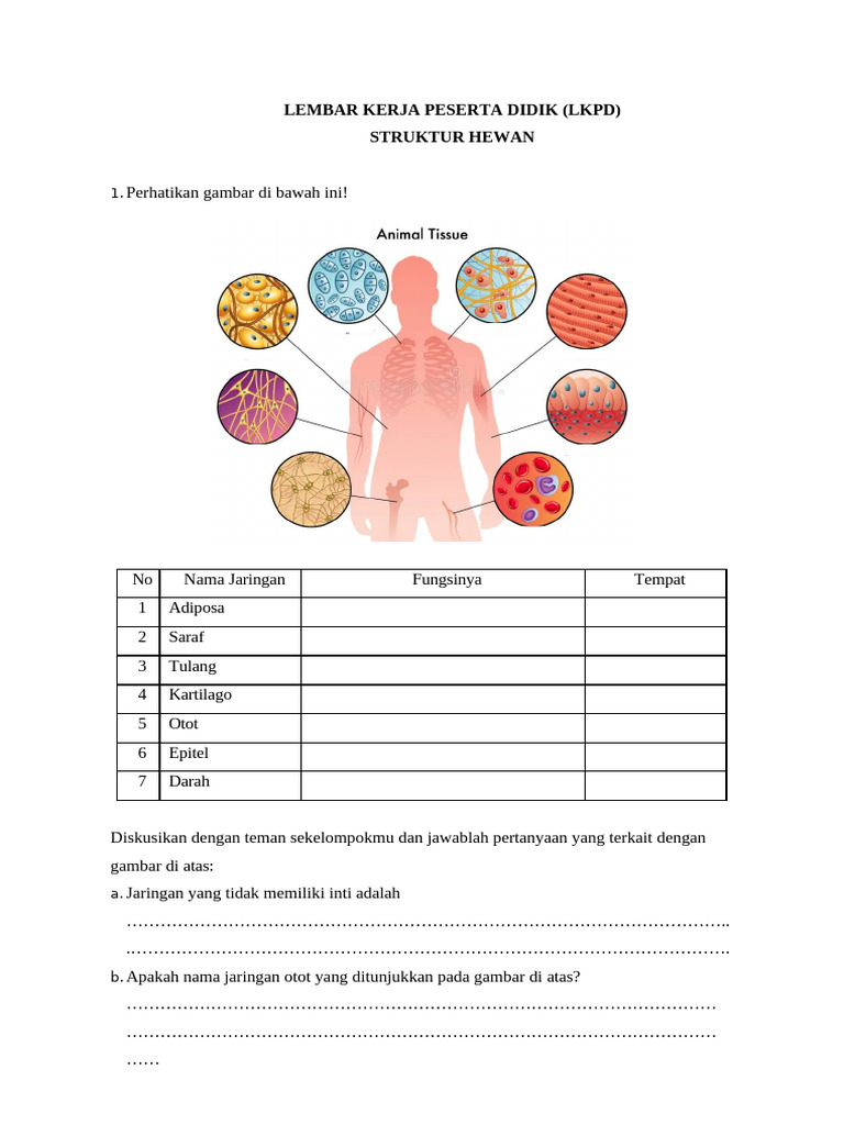 LKPD Struktur Hewan | PDF
