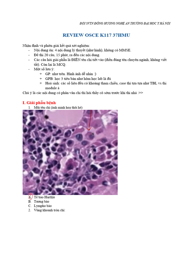 Review Osce k117 PDF | PDF