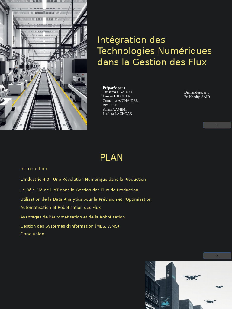 Integration Des Technologies Numeriques Dans La Gestion Des Flux | PDF
