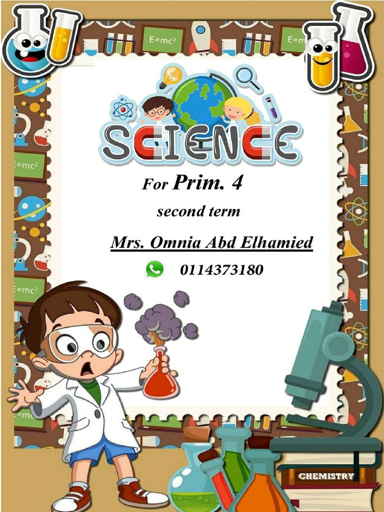 Prim.4 - Final Revision - Part 2 | PDF