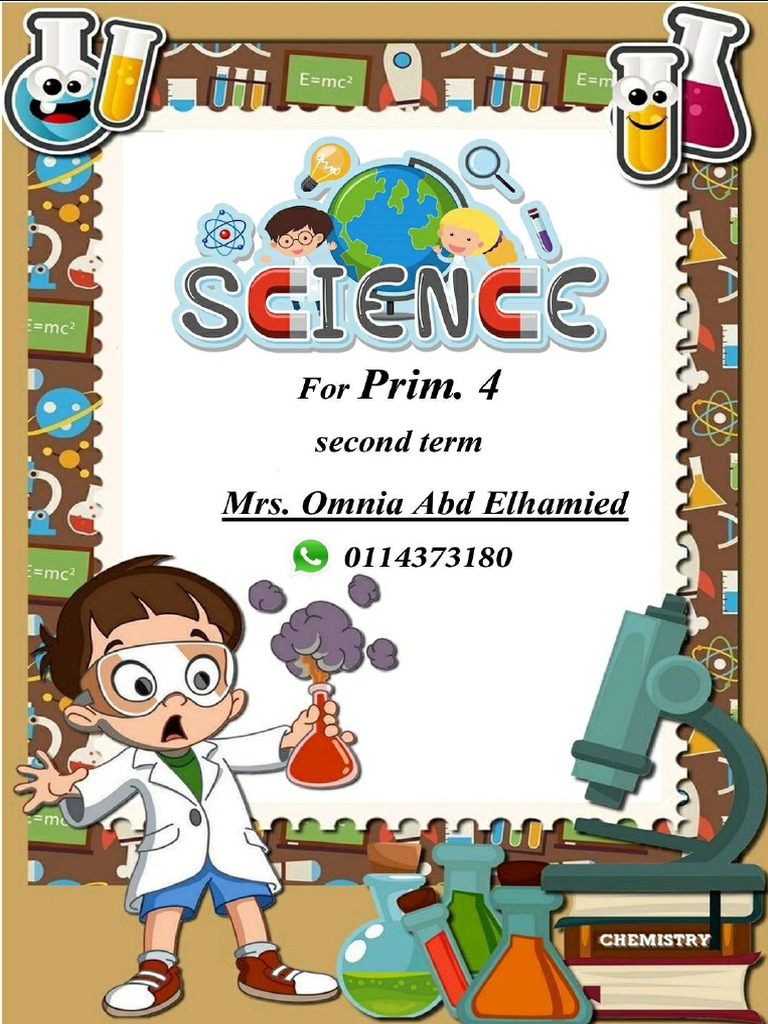 Prim.4 Final Revision Part 1 شرح | PDF