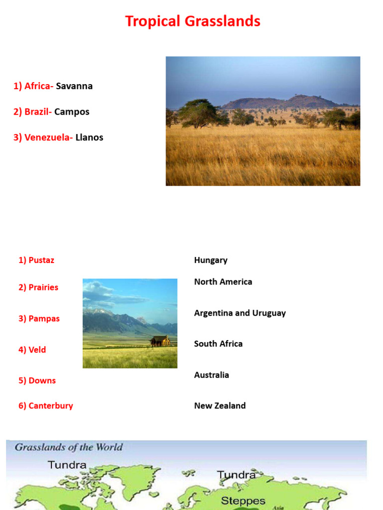 Global Grassland Regions Overview | PDF