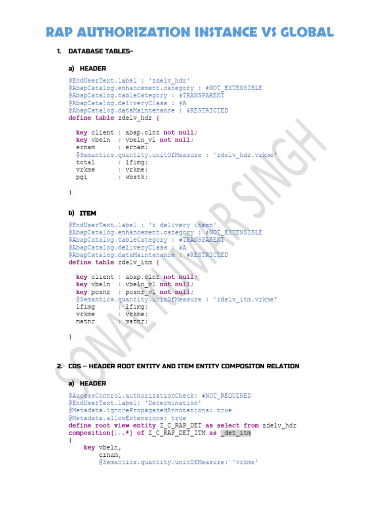 RAP Authorization: Instance vs Global | PDF | Computing | Computer Science