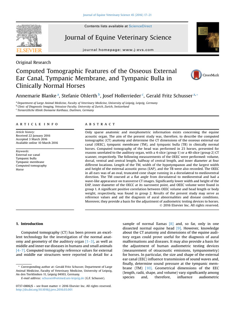 CT Anatomy of Equine Ear Structures | PDF | Ct Scan | Ear