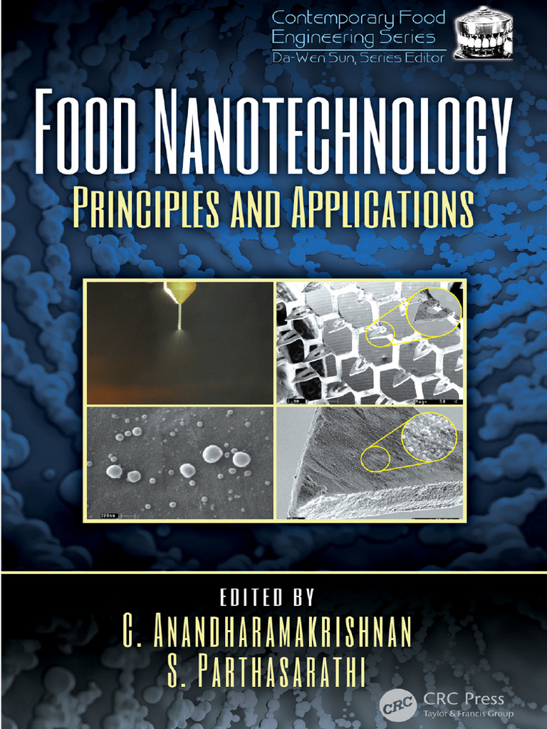 Food Nanotechnology Principles Explained | PDF | Nanotechnology