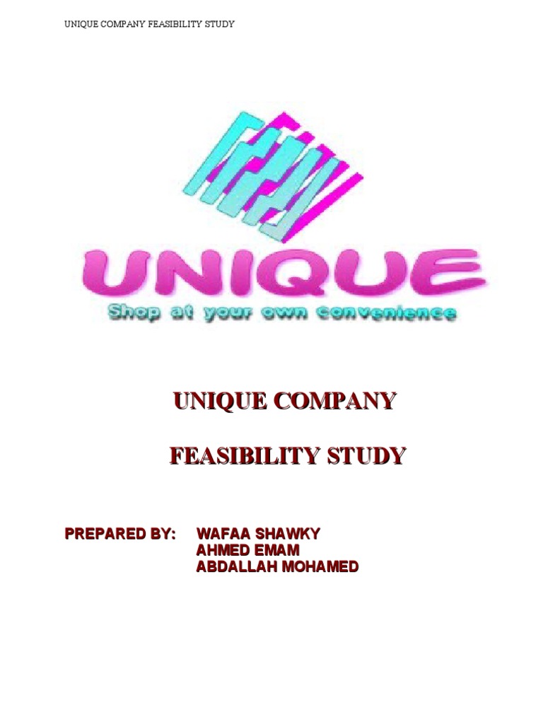 UNIQUE Co Feasibility Study | PDF | Revenue | Profit (Accounting)