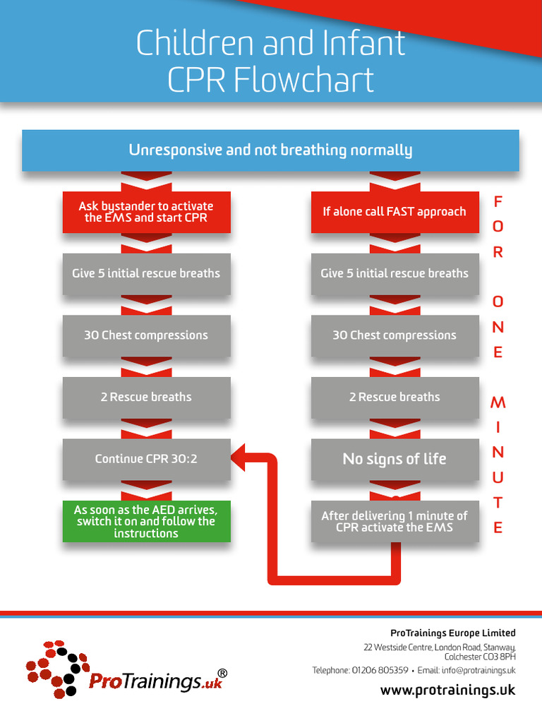 10 05 2021 84.children Infant CPR Flowchart | PDF