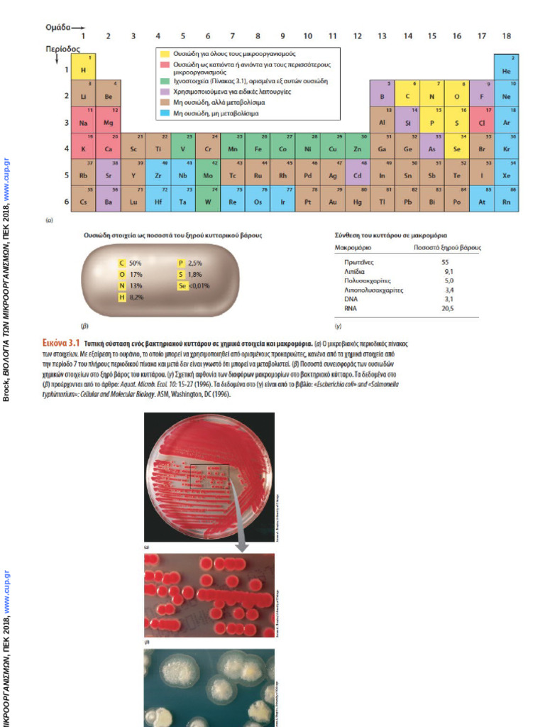 03 Brock | PDF