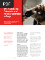 NS Grading of Cataract | PDF