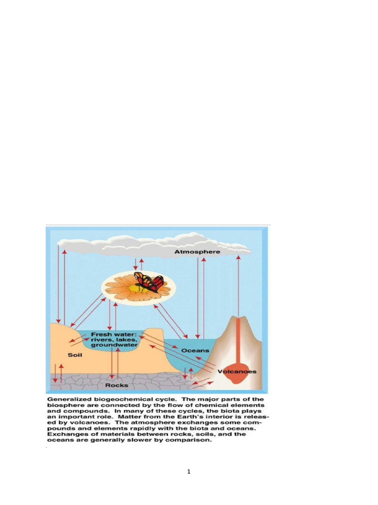 Biogeochemical Cycles Lec. Note-2 | PDF | Ecosystem | Fertilizer