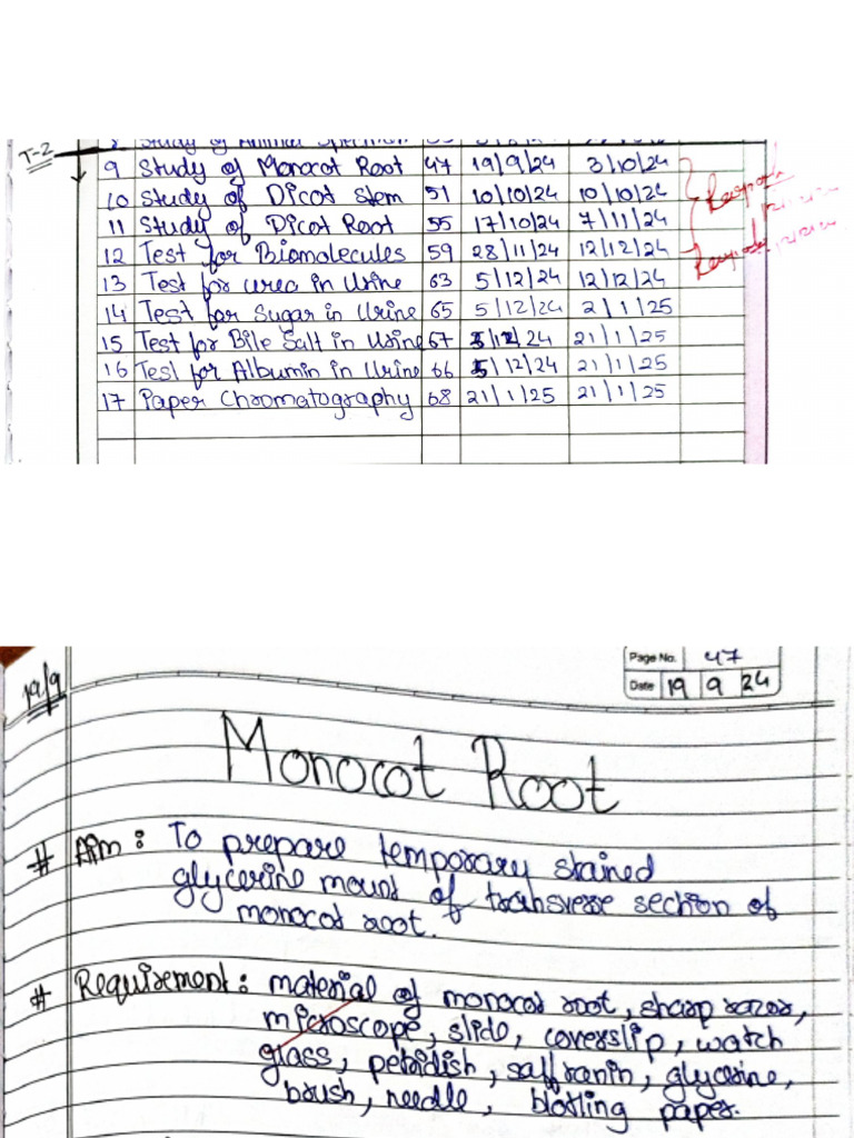 Biology Term 2 Journal | PDF