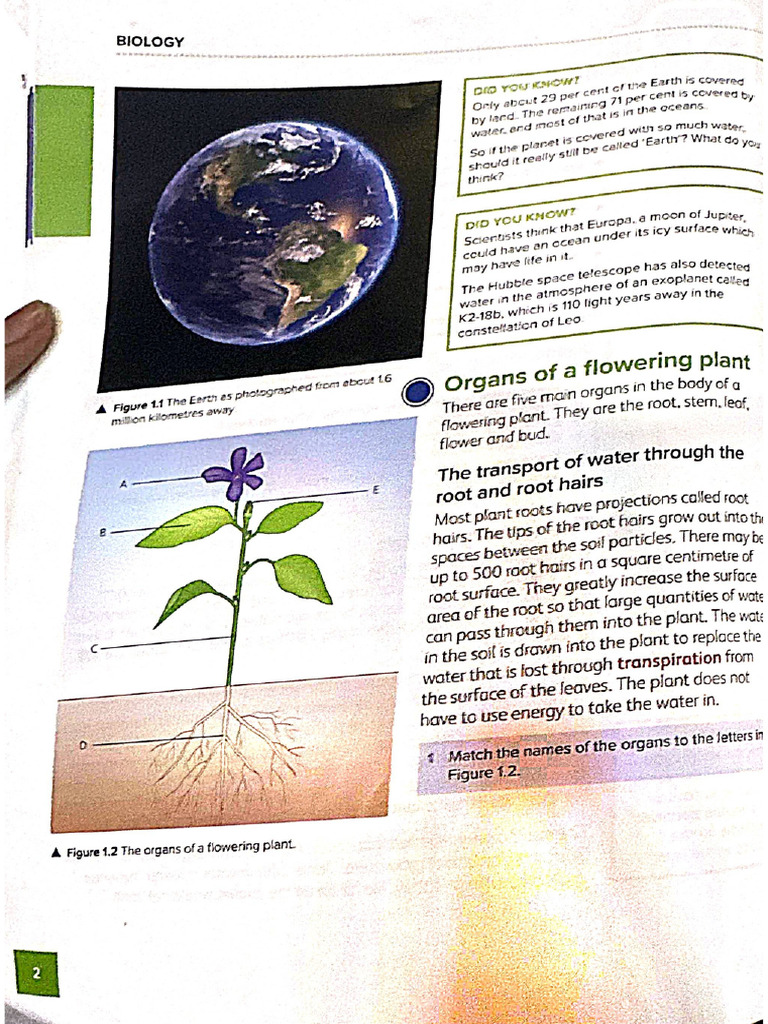 Science Chapter1 | PDF