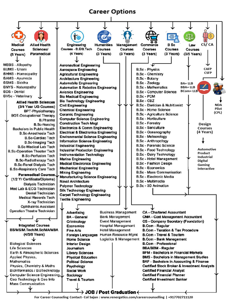 Career Options | PDF