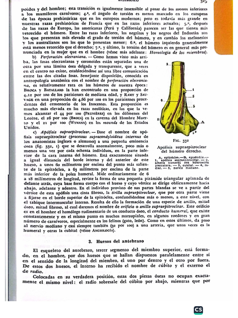 Cúbito | PDF