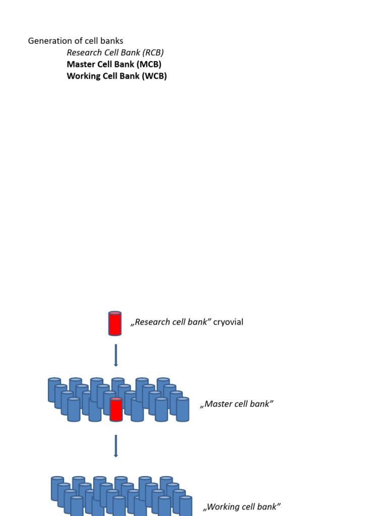 Master and Working Cell Bank Overview | PDF | Polymerase Chain Reaction ...