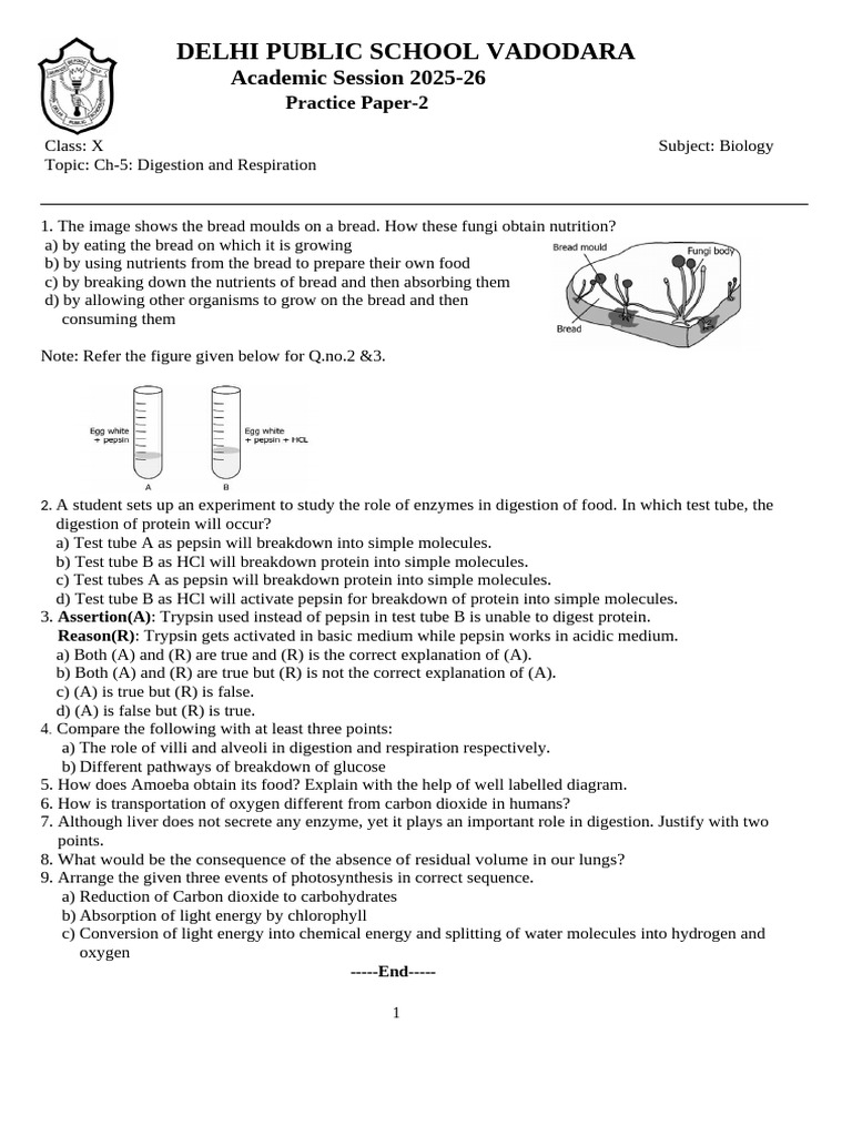 Class X Biology Practice Paper on Digestion | PDF | Digestion | Foods