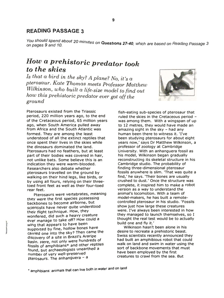 How A Prehistoric Predator Took To The Skies: Reading Passage 3 | PDF ...