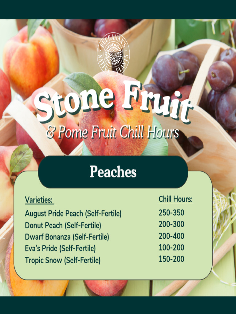 Stone Fruit Chill Hours | PDF