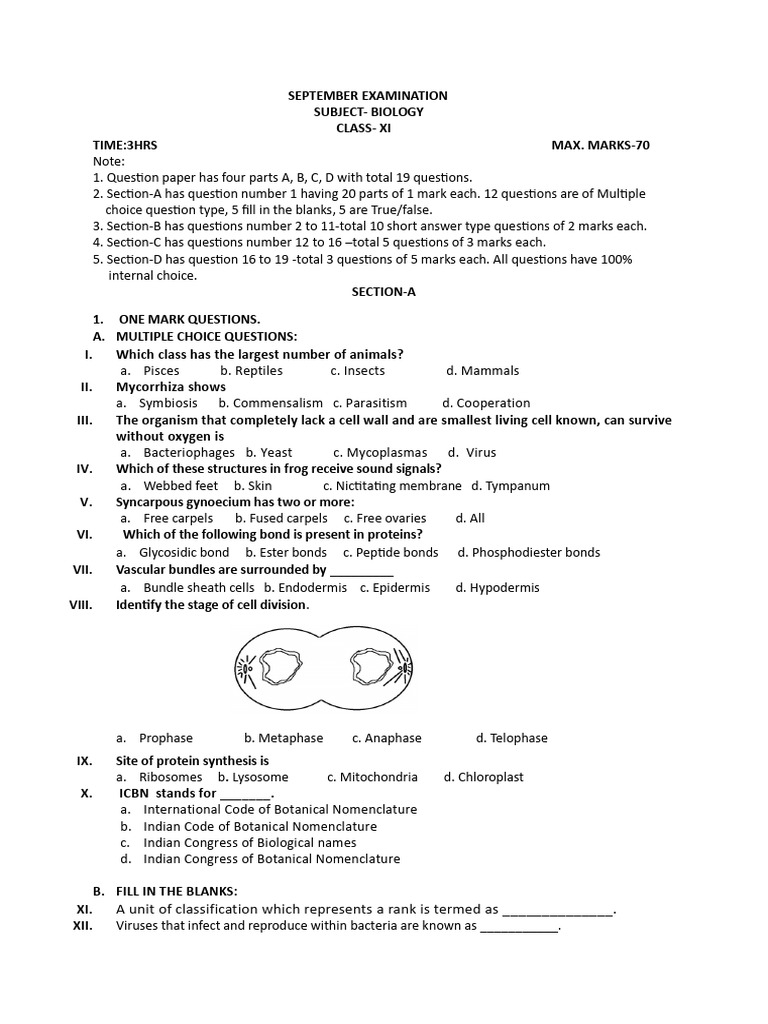 Class XI Biology September Exam Paper | PDF | Life Sciences | Organisms