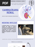 Gammagrafía Renal Estática con DMSA | PDF | Riñón | Imagenes medicas