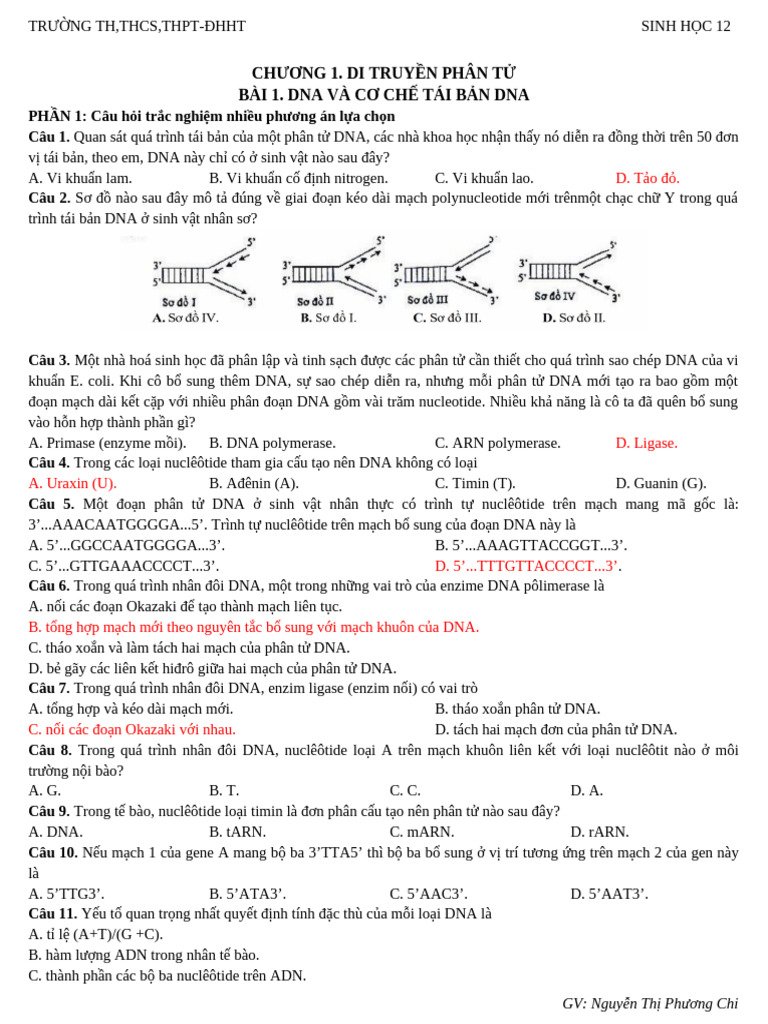 1. Dna Và Cơ Chế Tái Bản Dna | PDF