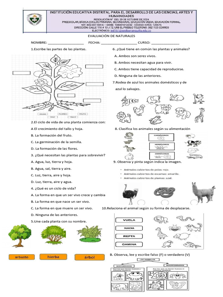 Evaluacion de Naturales 3 Periodo | PDF