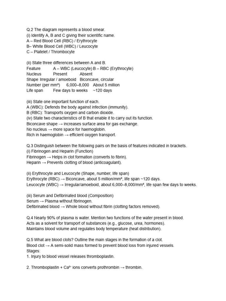 Blood Components and Functions Explained | PDF | Blood Type | Red Blood ...