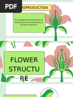 Flower | PDF | Plant Reproduction | Flowers