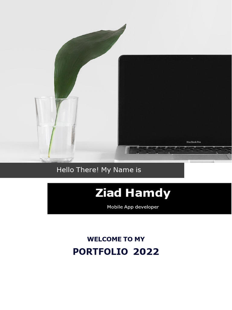 Ziad Protofolio | PDF