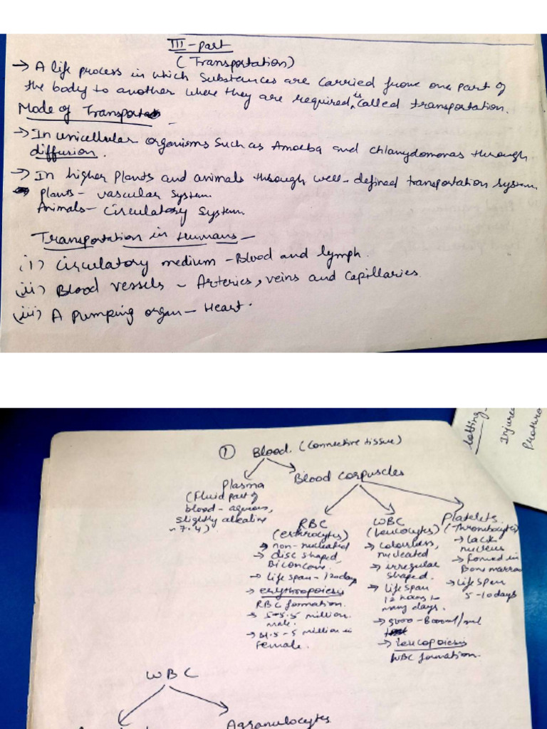 Part - III Transportation Notes (1) Compressed | PDF