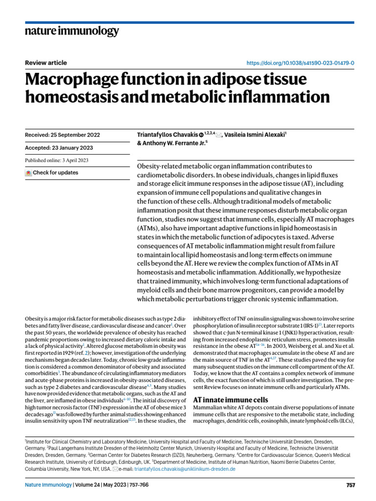 Chavakis 2023 Macrophage Function in Adipose Tiss | PDF | Inflammation ...
