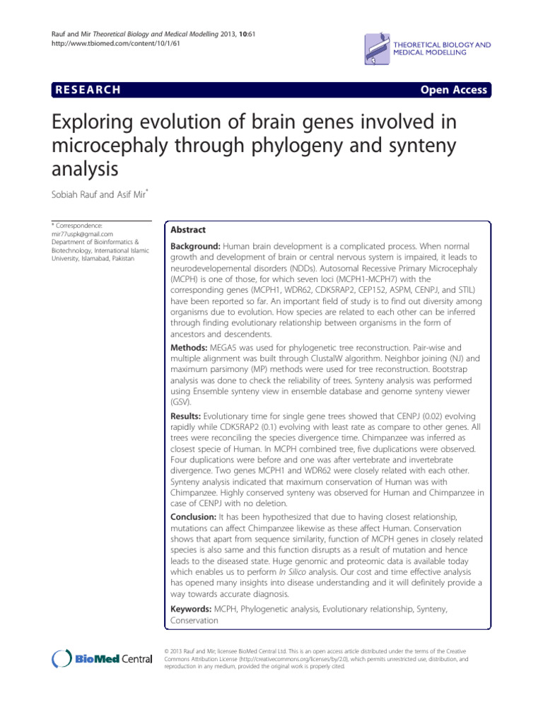 Evolution of Brain Genes in Microcephaly | PDF | Phylogenetics ...