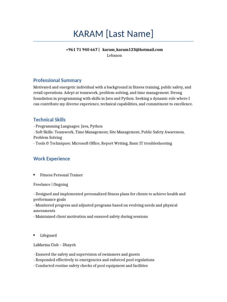 Karam Professional CV | PDF
