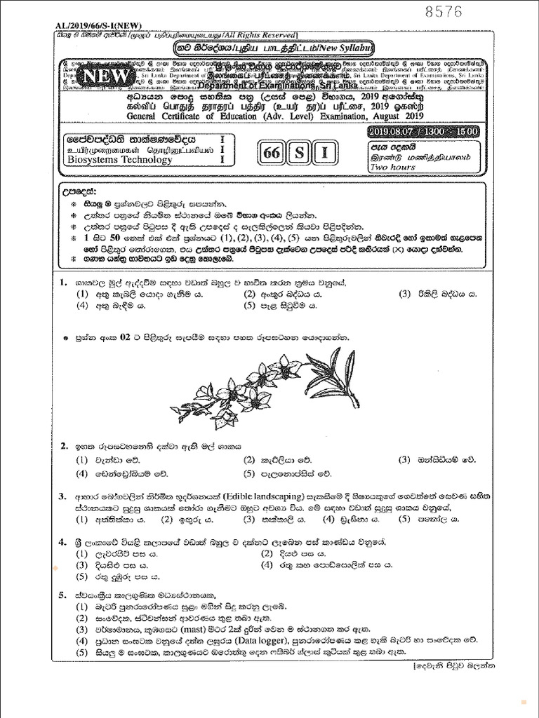 2019 AL BST Past Paper Sinhala Medium | PDF | Electrical Engineering