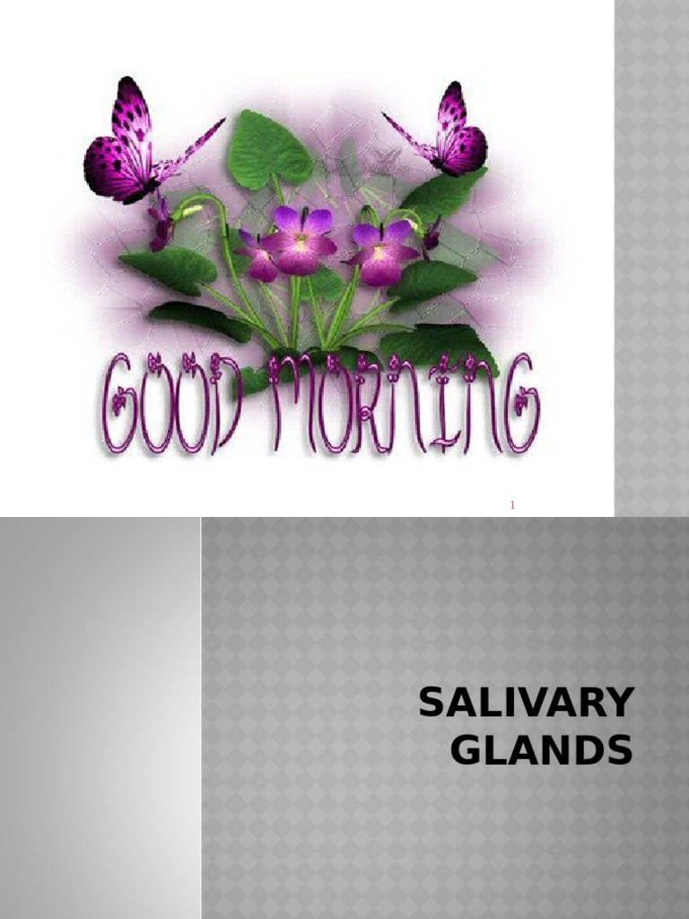 Salivary Glands: Types and Functions | PDF | Saliva | Animal Anatomy